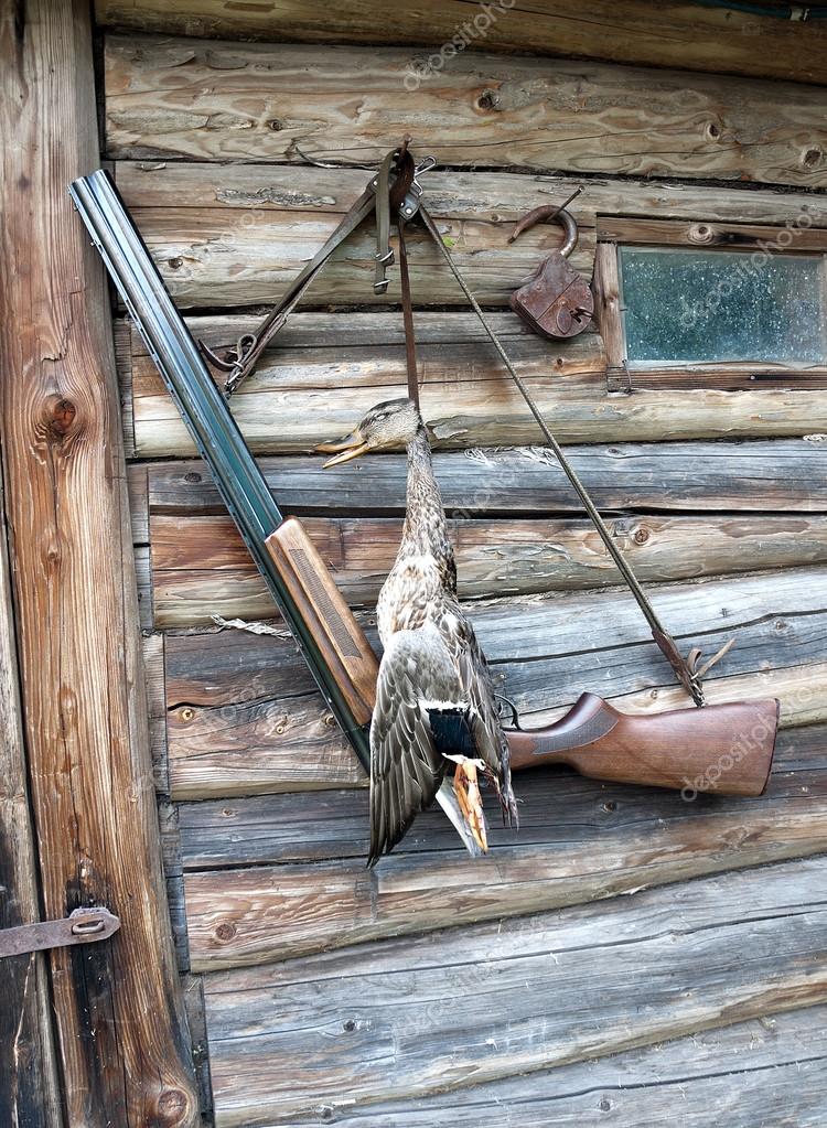 Wild duck hunting trophy and a hunting rifle — Stock Photo © evgenyiL ...