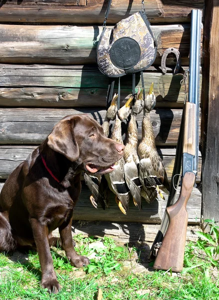 Trophy hunting Images - Search Images on Everypixel