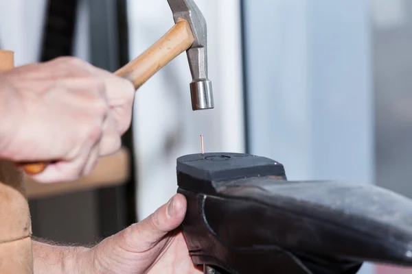 Shoemaker repairs a shoe - Stock Image - Everypixel