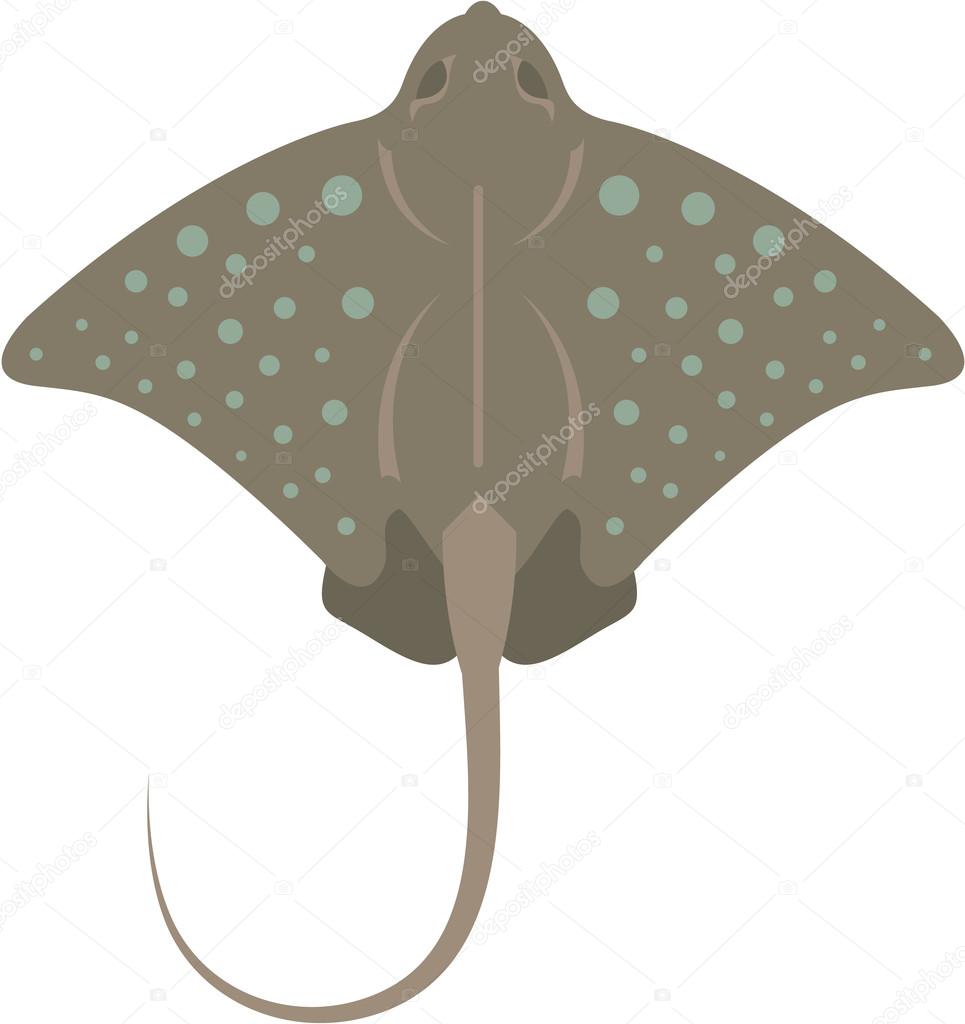 Stingray Vector clip-art Stock Vector by ©anton_novik 89070650
