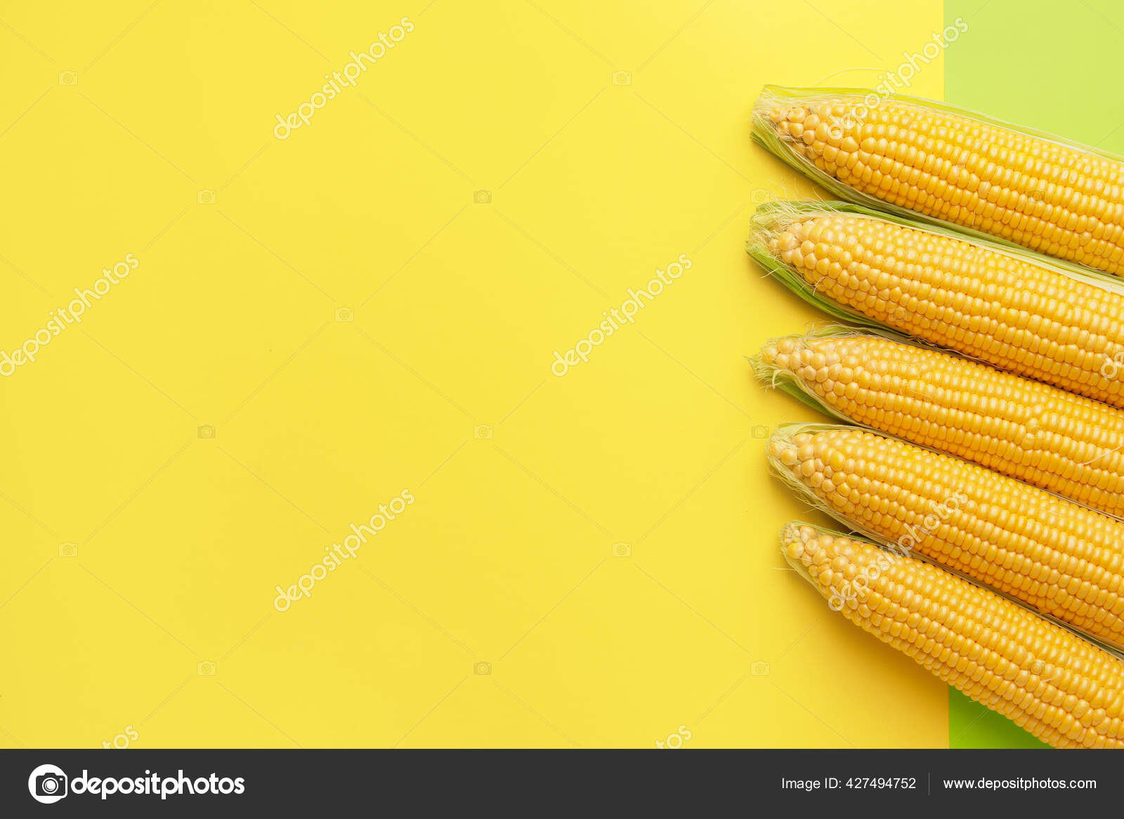 Fresh Corn Cobs Color Background Stock Photo by ©serezniy 427494752