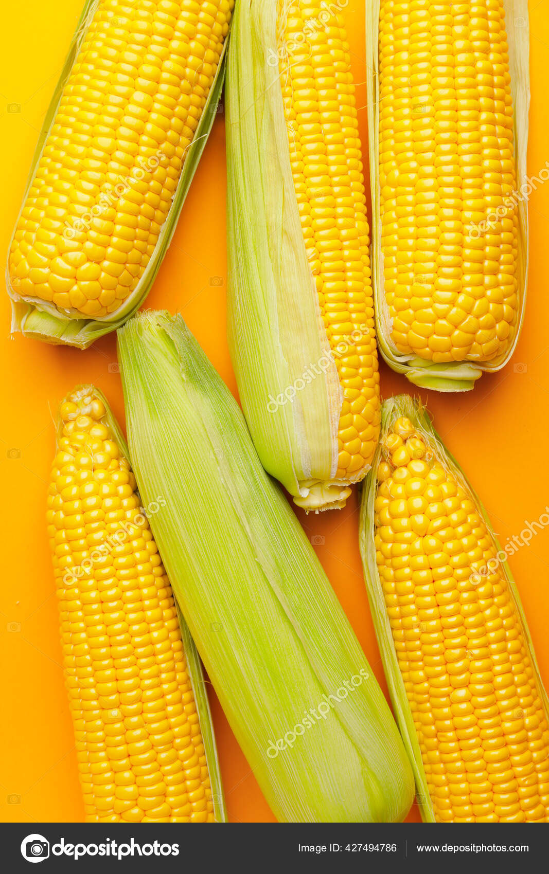 Fresh Corn Cobs Color Background Stock Photo by ©serezniy 427494786
