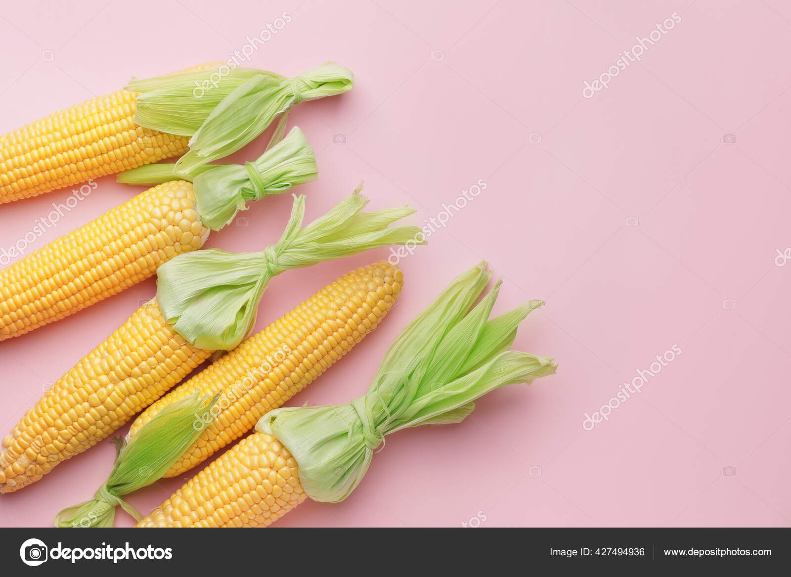 Fresh Corn Cobs Color Background Stock Photo by ©serezniy 427494936