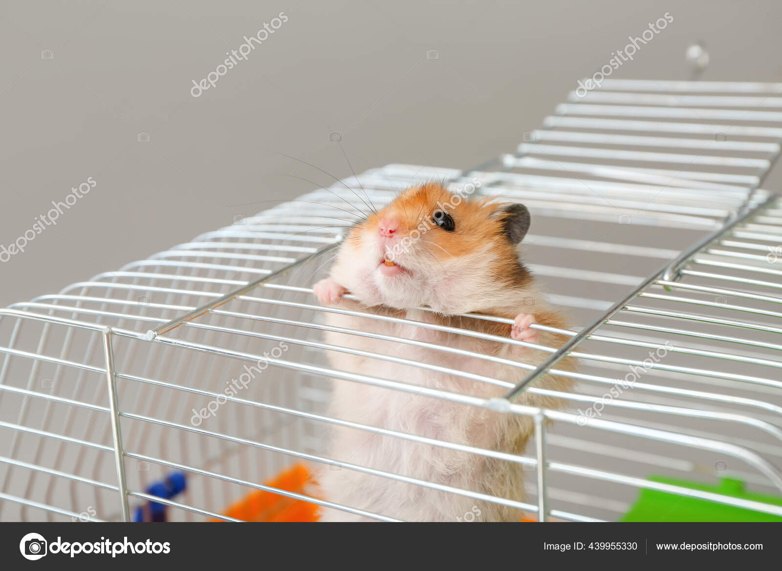 Crazy Hamster Cages