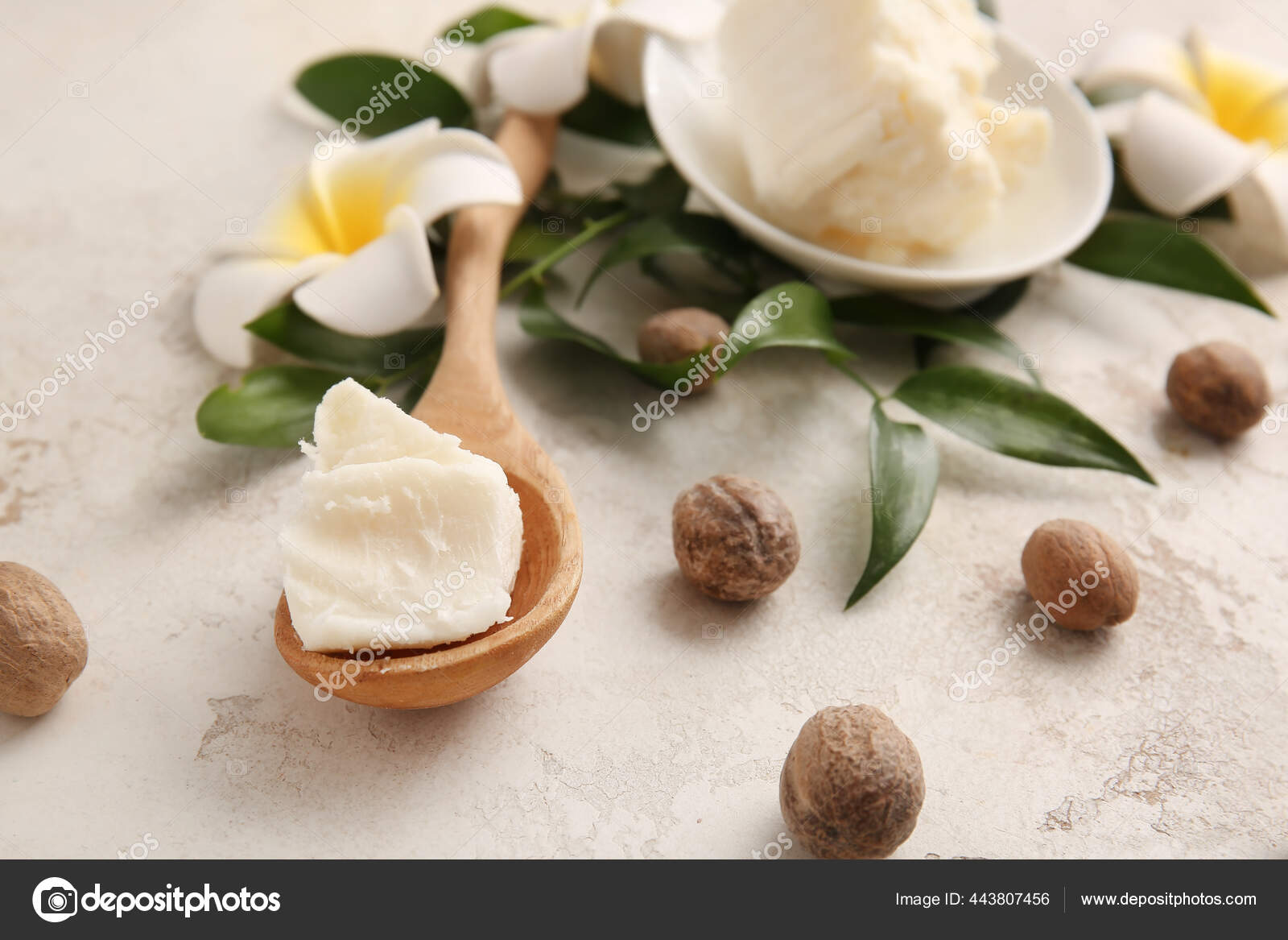 Spoon Shea Butter Light Background Stock Photo by ©serezniy 443807456