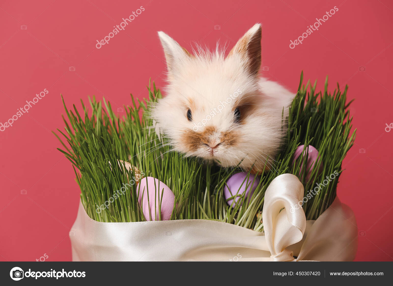 Cute Rabbit Grass Hidden Easter Eggs Color Background — Stock Photo ...