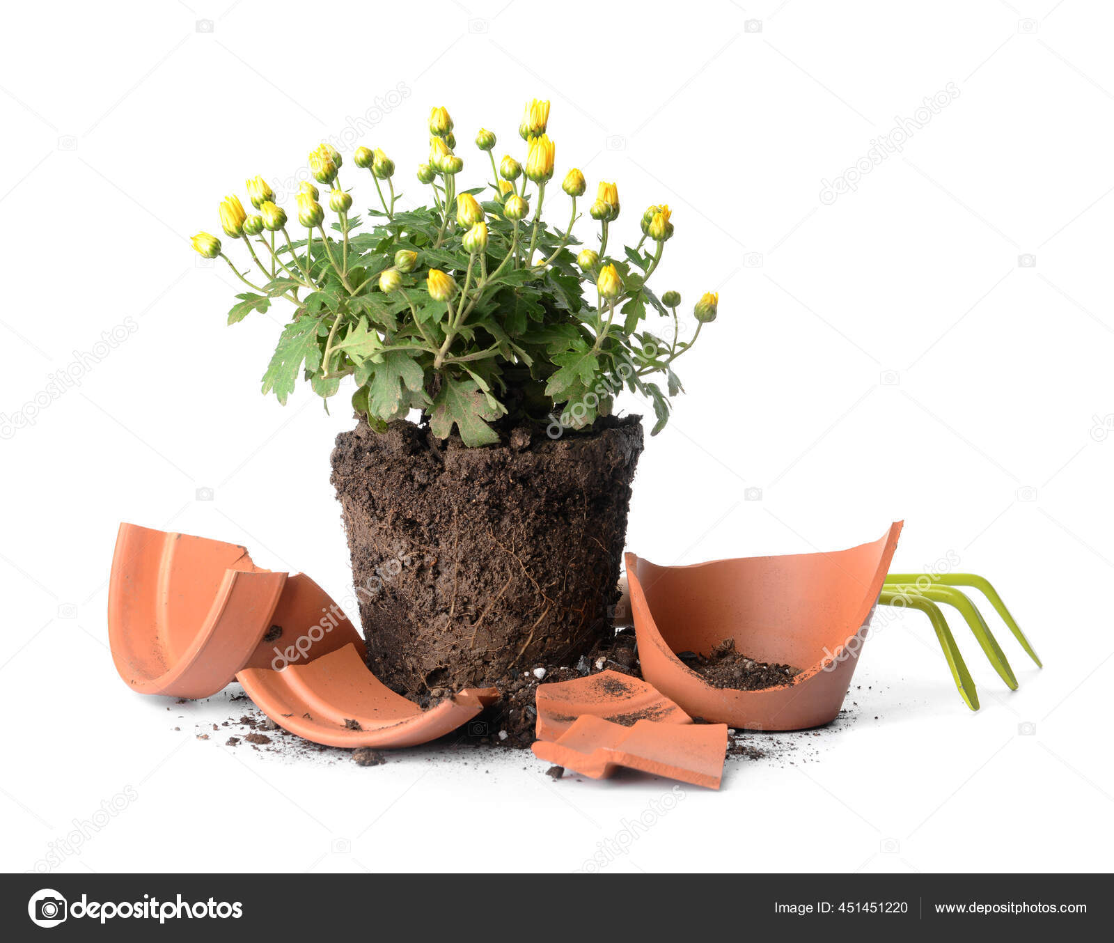 Cracked Flower Pot