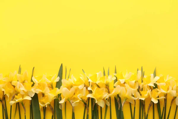 Daffodil background Stock Photos, Royalty Free Daffodil background ...