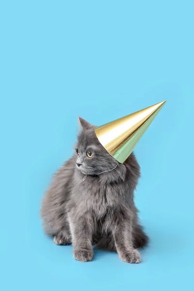 Cat party hat Stock Photos, Royalty Free Cat party hat Images ...
