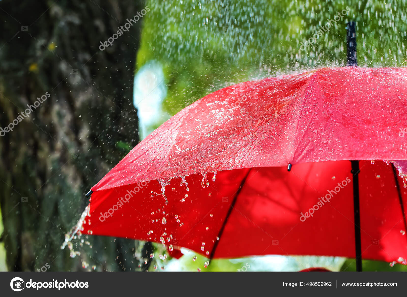 Rain Falling On Umbrella