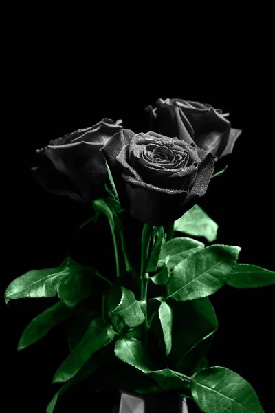 Green rose Stock Photos, Royalty Free Green rose Images | Depositphotos