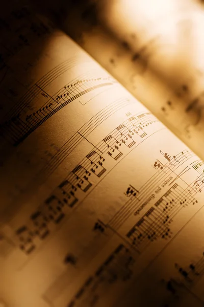 Music Notes Tumblr Photography