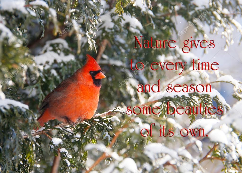 Inspirational quote. — Stock Photo © kellyplz #53189627