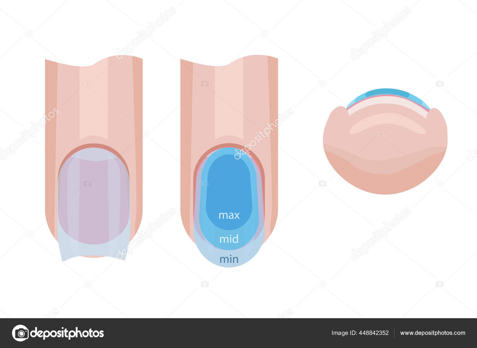 Nail Care Distribution Base Nail Illustration Manual Manicure Vector ...