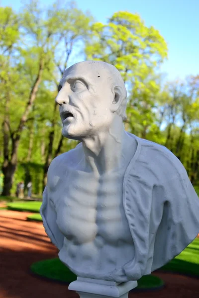 Stoicism Stock Photos, Royalty Free Stoicism Images | Depositphotos