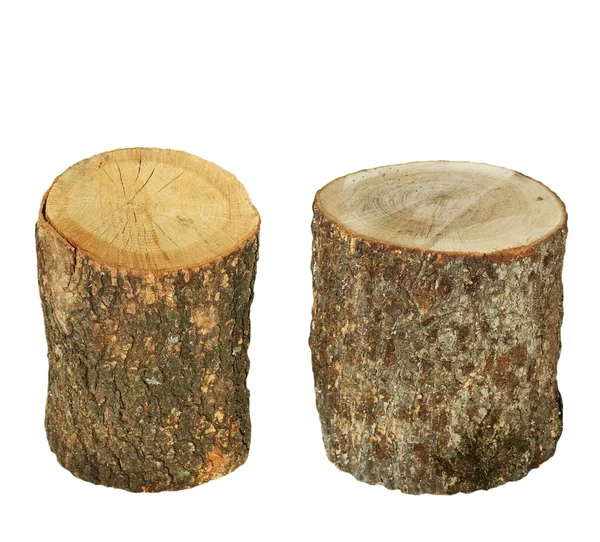 Oak stump, log fire wood isolated on white background with clipping ...