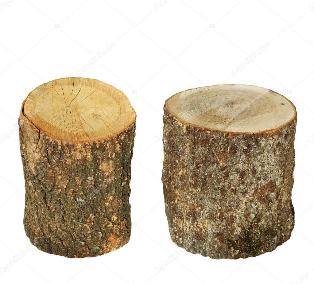 Set log fire wood, stump isolated on white background Stock Photo by ...