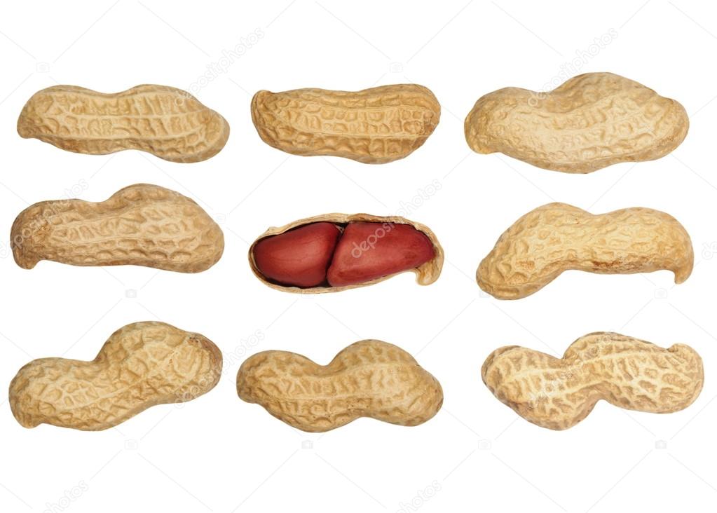 Set macro of peanuts isolated on white background Stock Photo by ...
