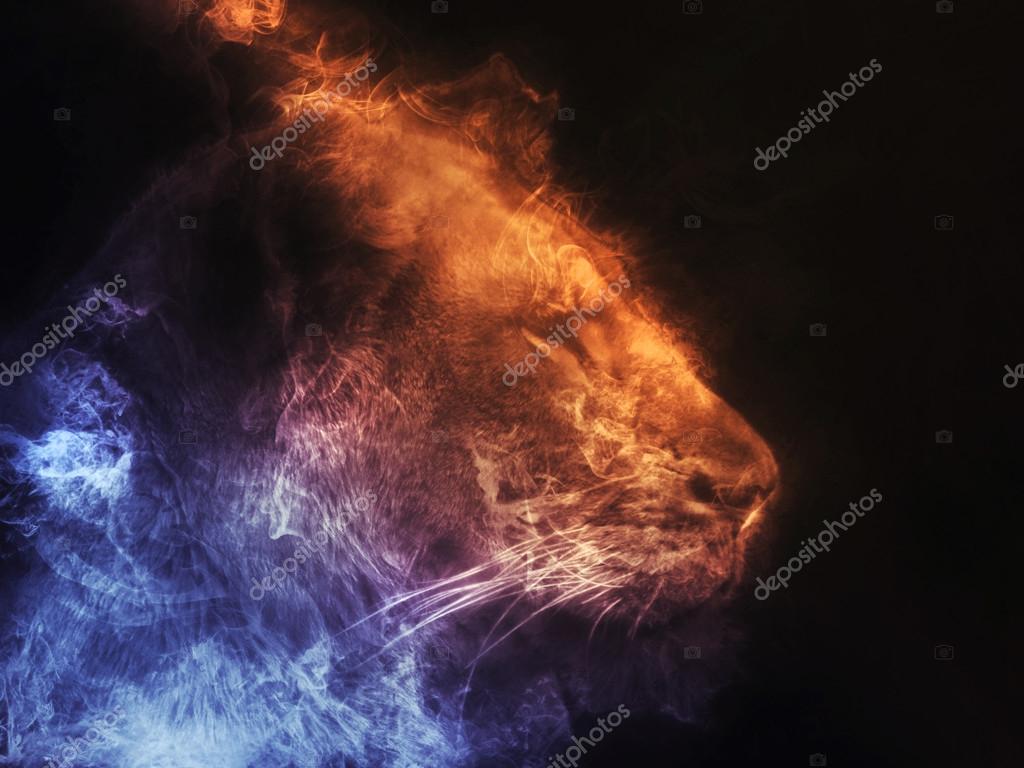 Fire Lioness