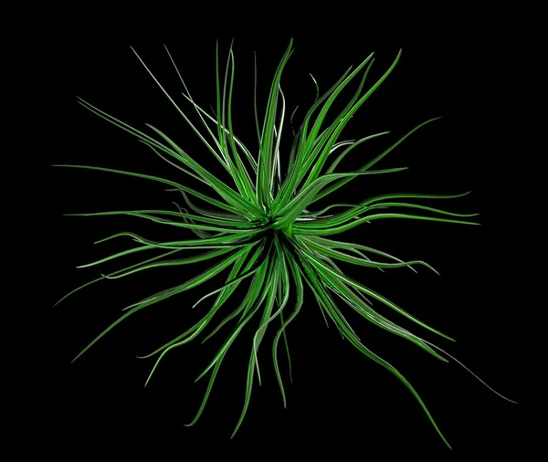 117,946 Green form Stock Photos, Green form Images | Depositphotos®