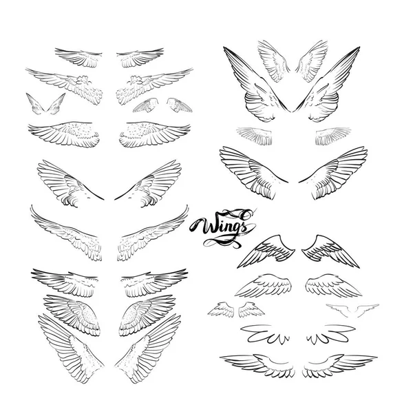 Angel wings texture pattern vector drawing Stock Vector Image by ...