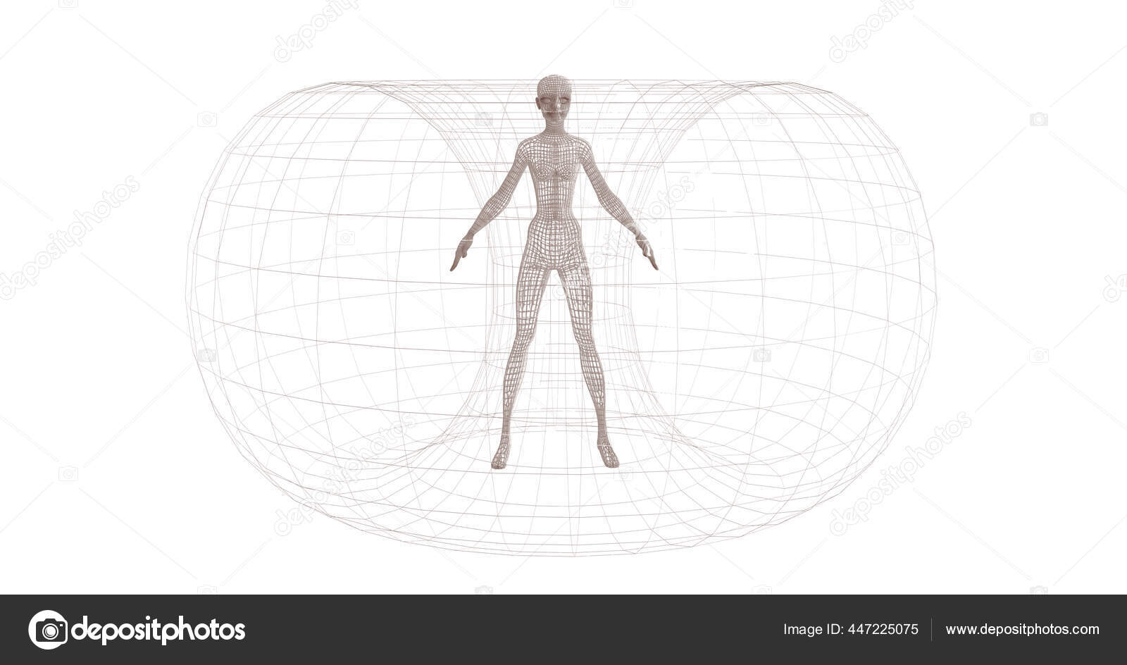 Human Wireframe Model White Background — 스톡 사진 © tanshy #447225075