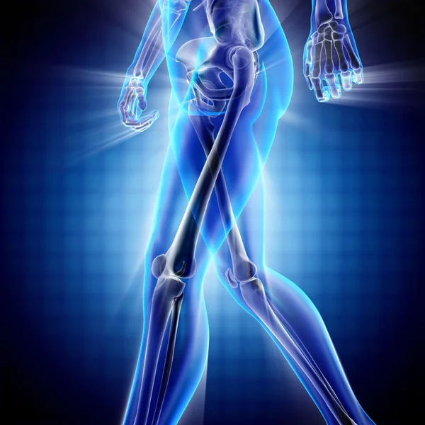 Human bones radiography scan image - Stock Image - Everypixel