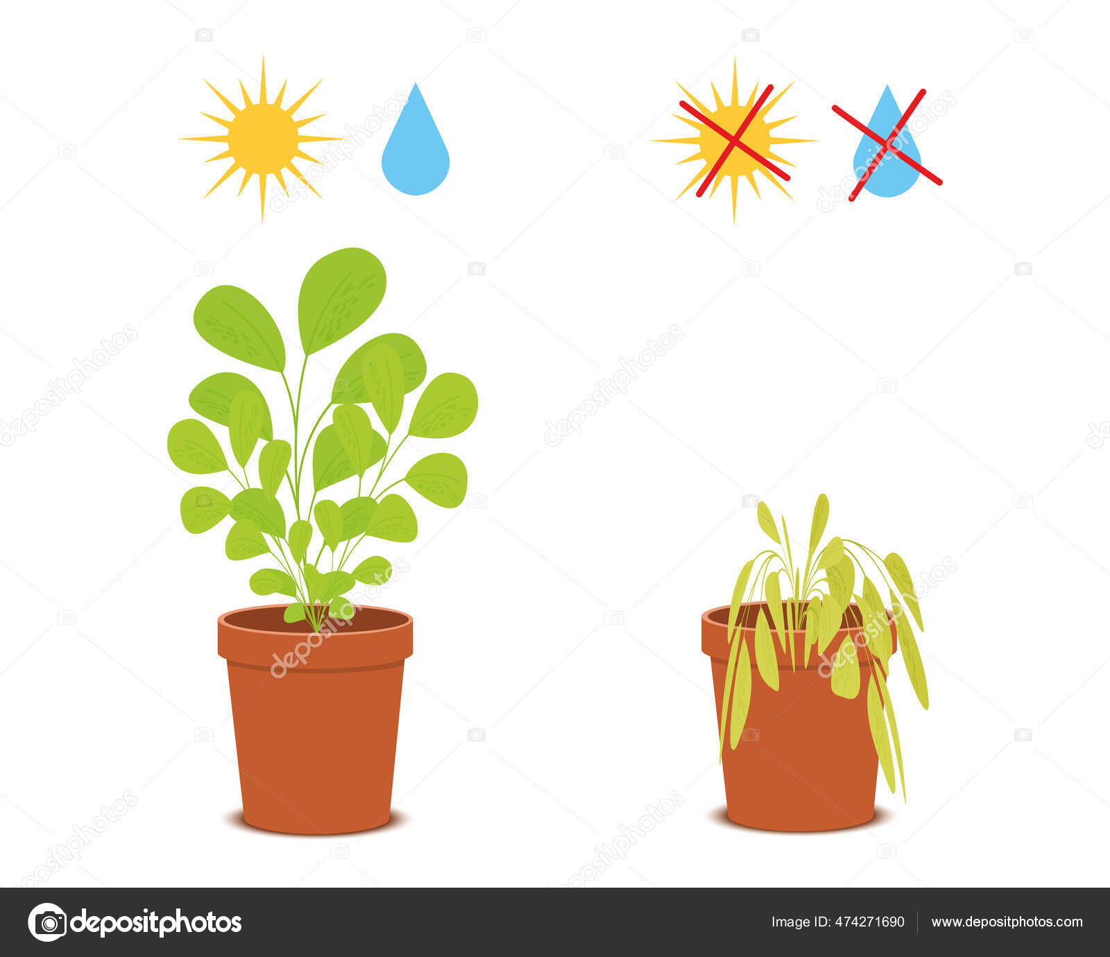 Tumbuhan mekar dengan air dan sinar matahari simbol vs bunga layu tanpa ...