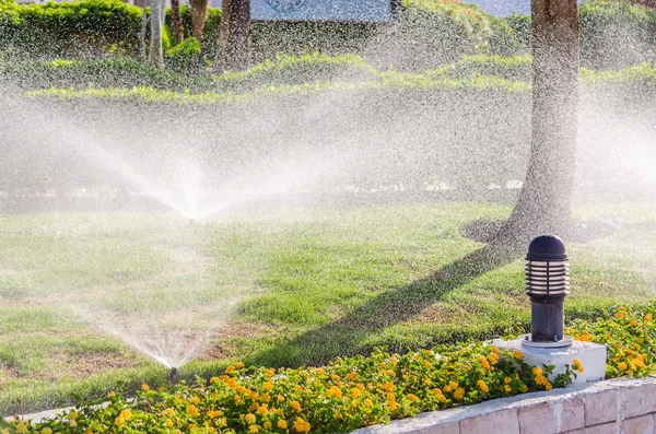 Automatic sprinkler system Stock Photos, Royalty Free Automatic ...