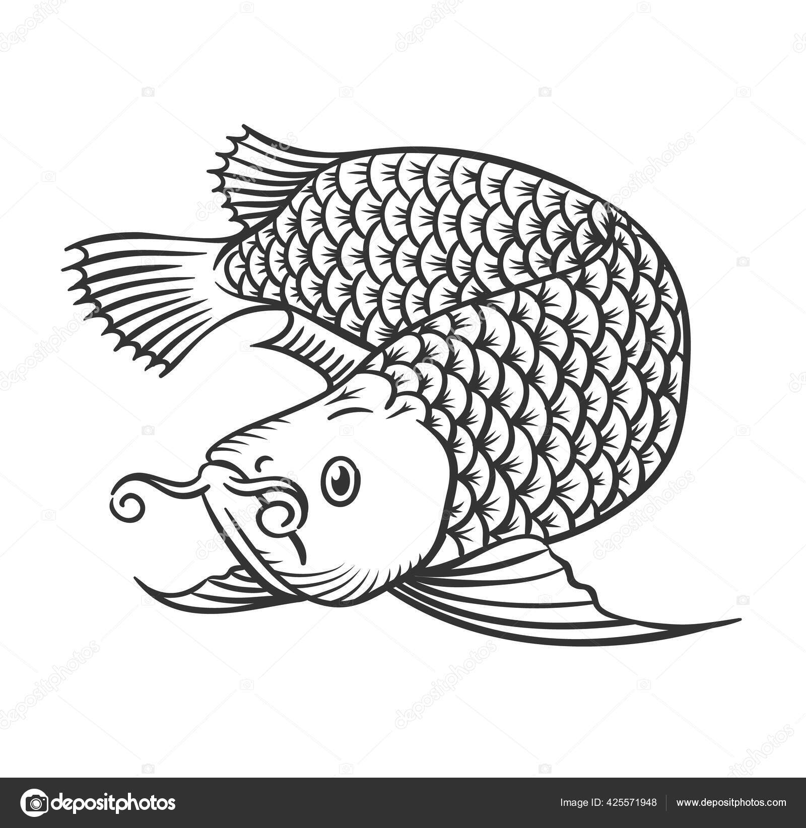 Hand Drawn Arowana Fish Vector Illustration Stock Vector Image by ...