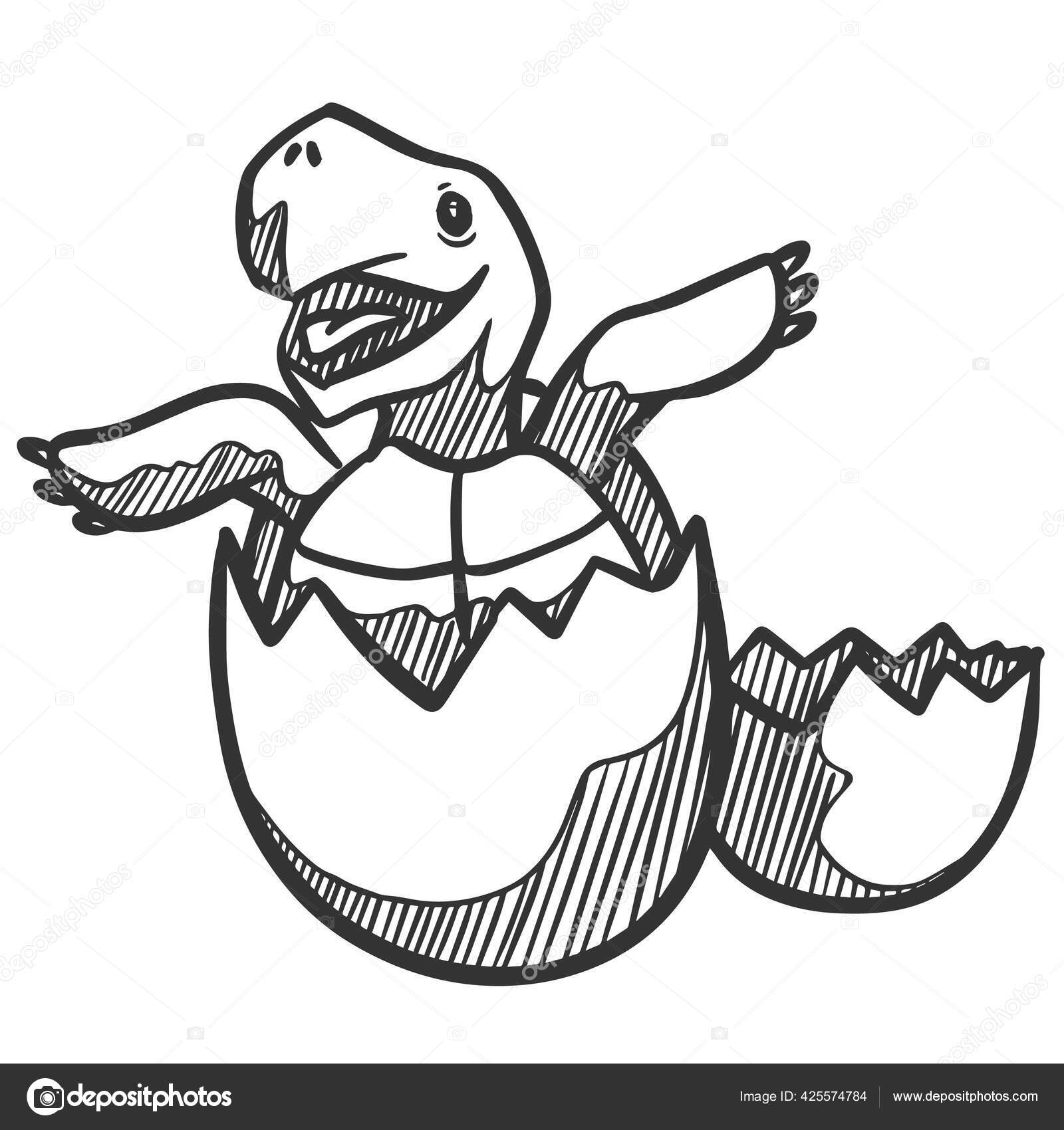 Turtle Eggs Hatching Clip Art