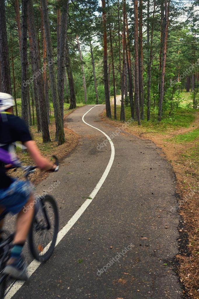 A cyclist rides along the bike path in the woods Stock Photo by ©Victor_DVA 114090504