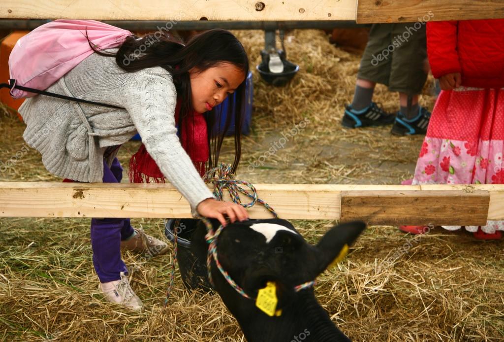 Chica toque negro vaca — Foto de stock #100302594 © jeancliclac