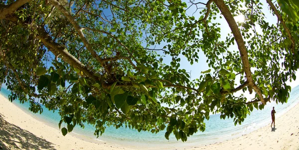 10,000,000+ imágenes de Tulsi gabbard beach libres de derechos ...