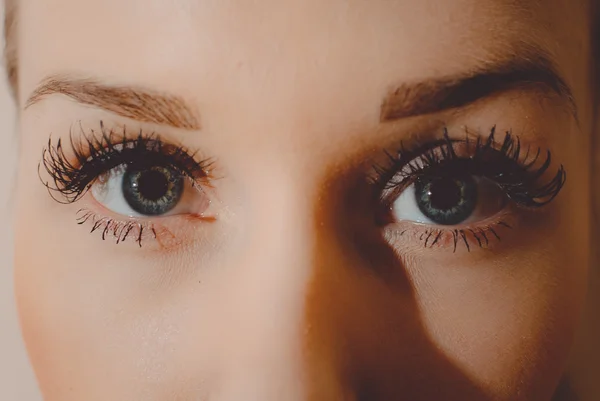 Dramatic shot of a beautiful woman eyes - Stock Image - Everypixel