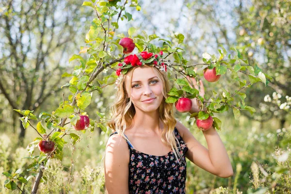 Pretty blond apple fairy under branch of ripe red fruits - Stock Image ...