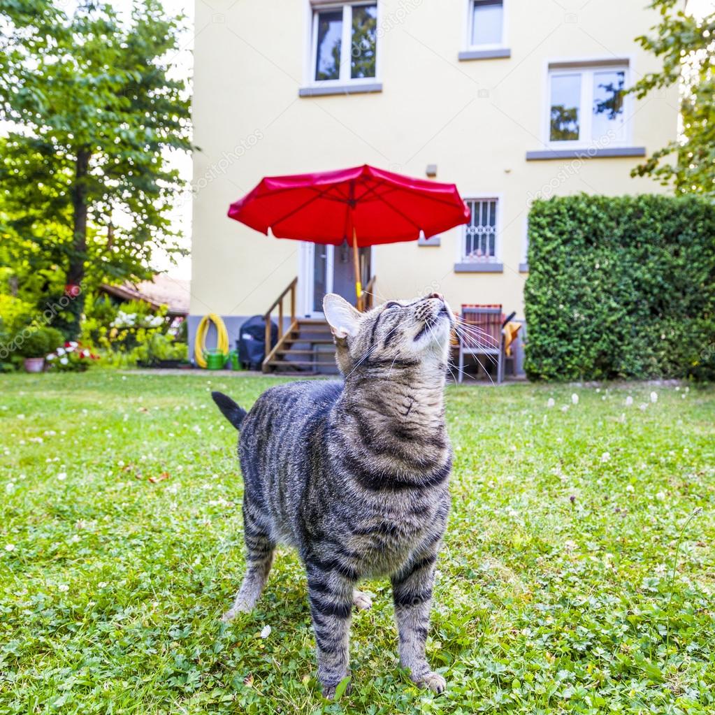 Structure of leave remaining on a sandy white beach — Stock Photo ...