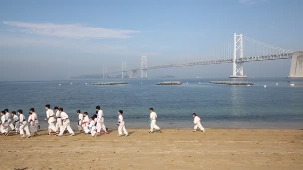 1,181 Japanese martial arts Videos, Royalty-free Stock Japanese martial ...