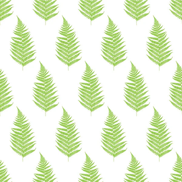 Vector illustration of fern seamless pattern — Stock Vector © greengrass #72621627