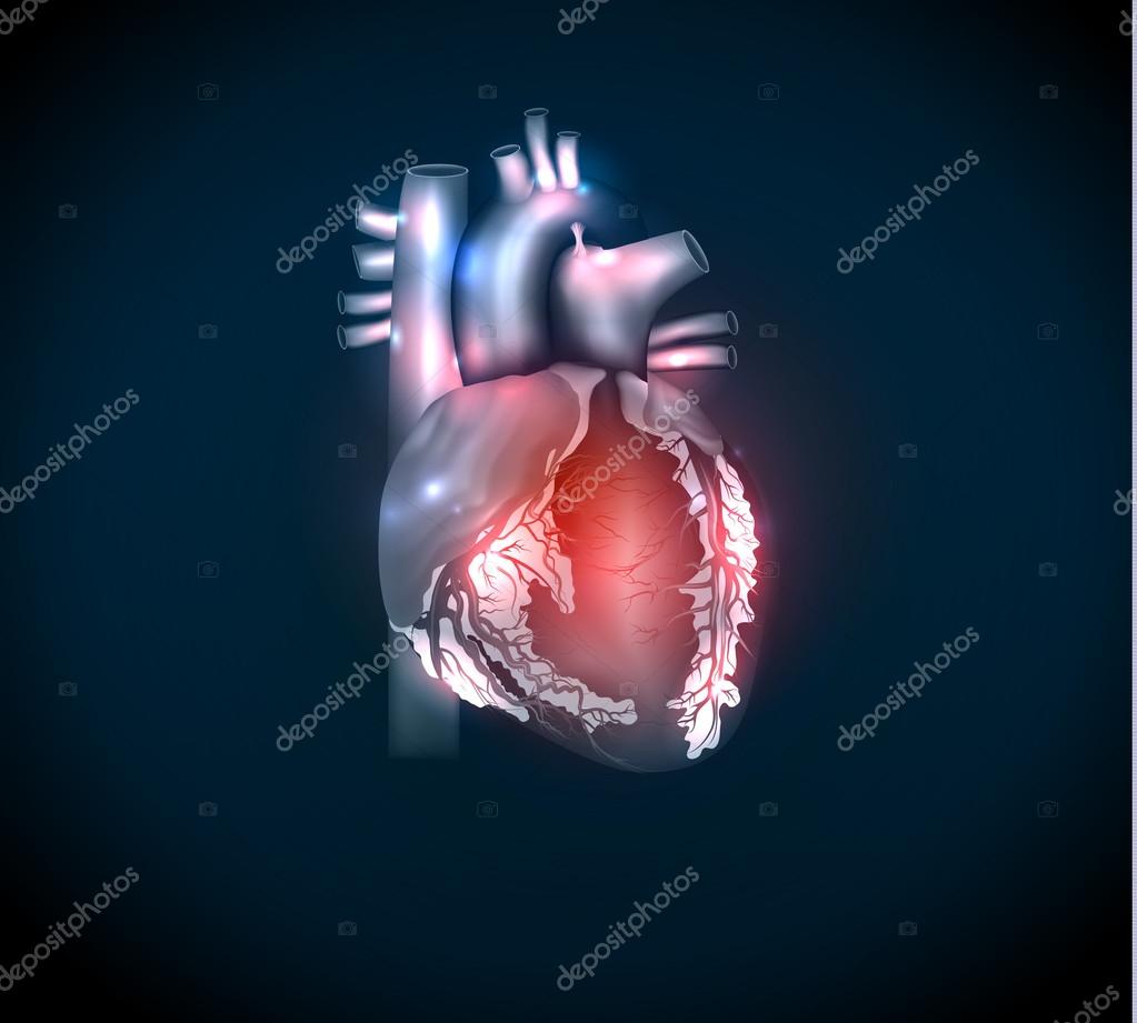 Bright human heart on a blue background Stock Vector by ©megija 53833545