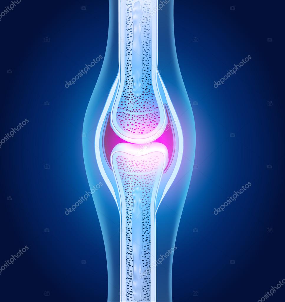 Normal joint anatomy abstract blue design Stock Vector Image by ©megija ...