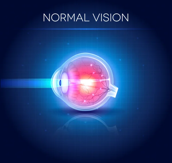 100,000 Normal vision Vector Images | Depositphotos