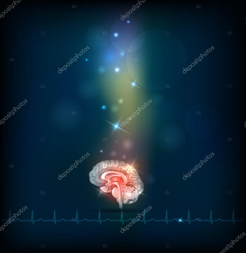 Human brain abstract treatment Stock Vector by ©megija 85827432