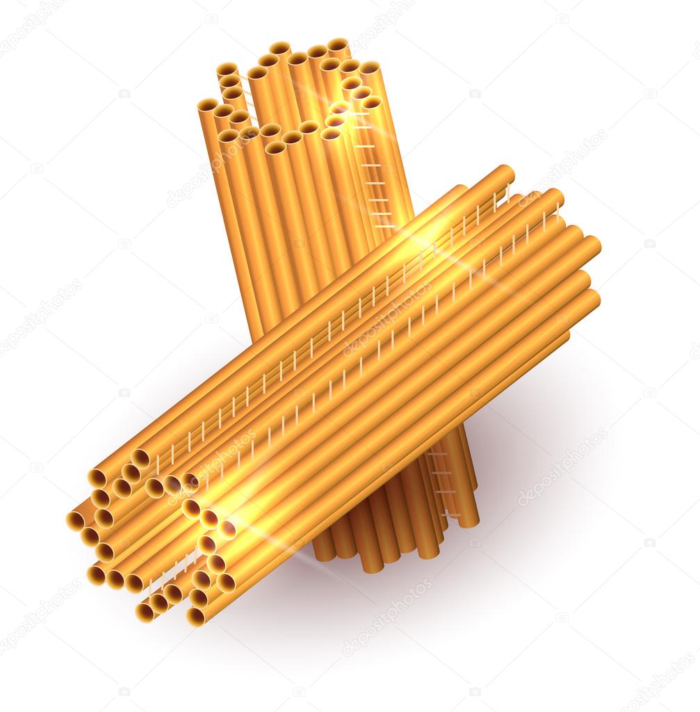 Anatomia centrosante. Centrosome é uma parte da célula . — Vetor de ...