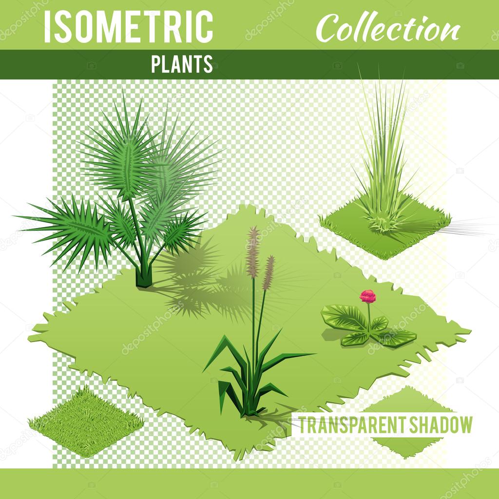 Isometric plants collection Stock Vector Image by ©ckarabistr #102009846