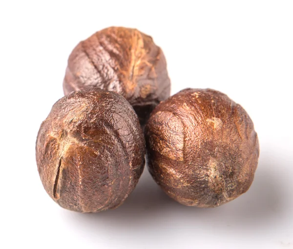 Medicinal Bahera fruits of India — Stock Photo © bdspn74 #11581412