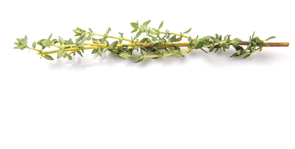 Timjan kvist Stockfotografier, royaltyfria Timjan kvist bilder ...