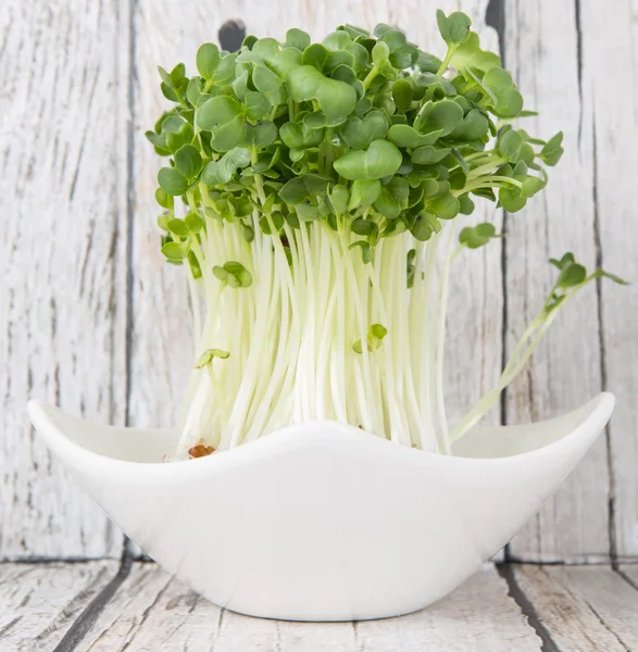 Green radish sprouts - Stock Image - Everypixel