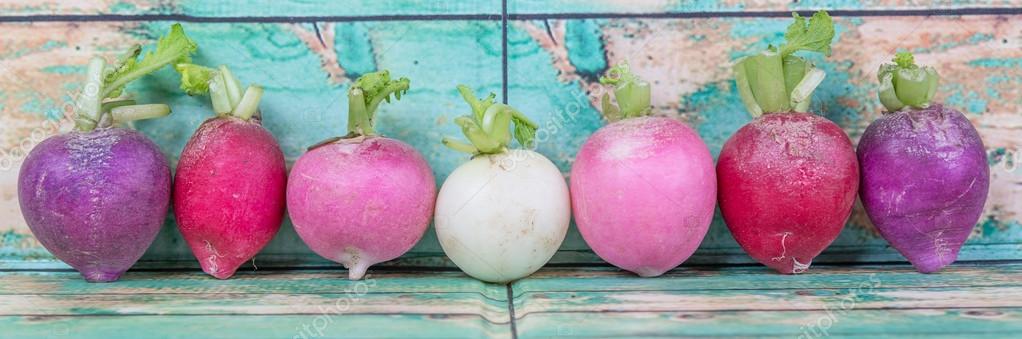Radish colors Stock Photos, Royalty Free Radish colors Images ...
