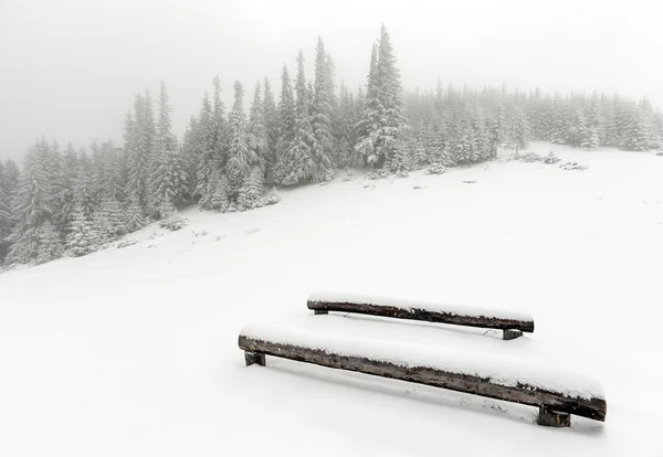 Foggy forest in winter - Stock Image - Everypixel